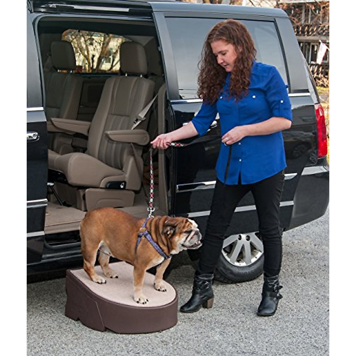 Pet Gear Stramp Stair and Ramp Combination for Dogs/Cats, Easy Step, Lightweight/Portable, Sturdy, Easy Assembly (No Tools Required) 2 Models, 3 Colors