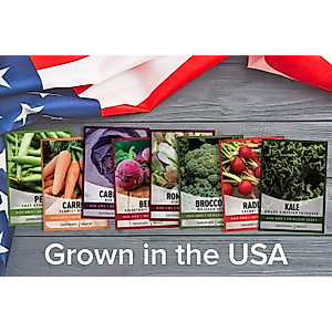 Gardeners Basics, Winter Fall Vegetable Seeds for Planting 8 Varieties Sugar Snap Pea, Carrot, Beet, Radish, Lettuce, Broccoli, Kale, Cabbage Seed Fall Vegetable Seeds Packs