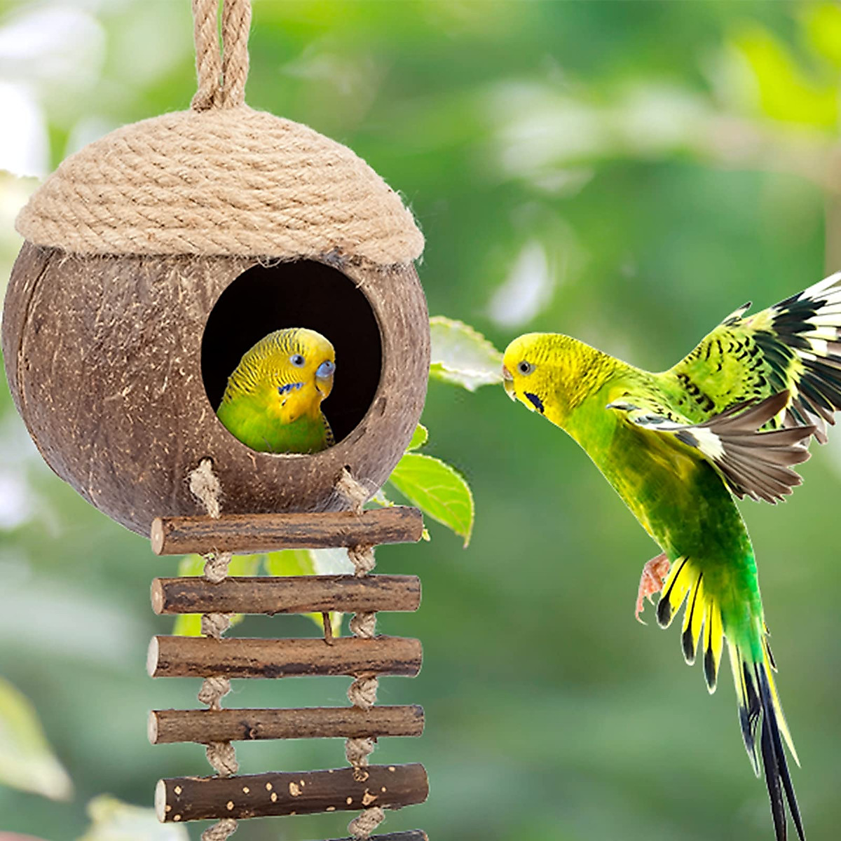 Dlhbafuya Coconut Birdhouse Coconut Shell Climbing nest Hamster hut with Ladder pet Bird Climbing Ladder nest Coconut Shell Bird nest Small Animal Habitat nest.