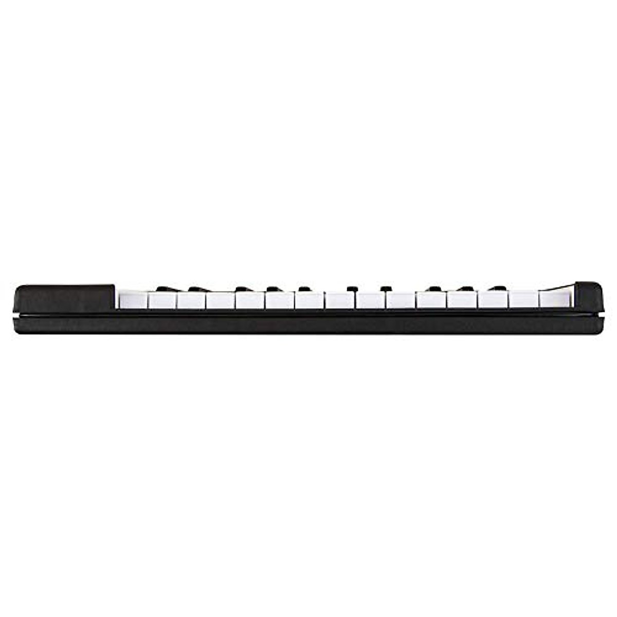 Arturia MicroLab 25 Key USB MIDI Keyboard Controller