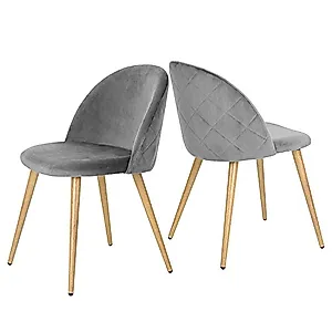 GreenForest Dining Chairs Set of 2, Modern Velvet Kitchen Room Chair Upholstered Accent Leisure Side Chairs with Metal Legs, Gray