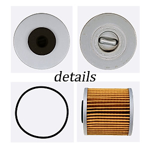 JEENDA X2 Transmission Filters Includes o-ring Compatible with Hydro Gear 71943 Ferris 5101987X2 5101987X2YP Scag HG71943 Bad Boy 063-1070-00 Gravely 21548300 ZT-5400 (2)