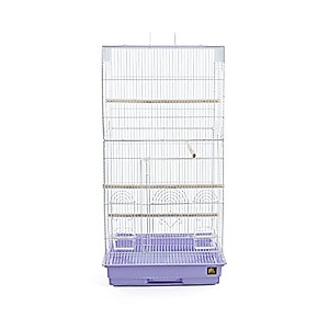 Prevue Pet Products SPECONO1818H-PB Tall Tiel Cage, Periwinkle Blue