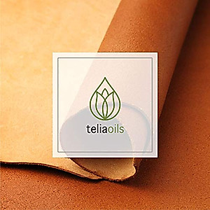 Teliaoils Leather Conditioner - Natural Clear Leather Repair Care Balm for Any Kind- Waterproofing Leather Salve Restorer, Softener & Protector - for Upholstery, Furniture, Shoes, Sofa & More