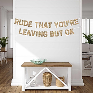 Pre-Strung Rude That You're Leaving But Ok Banner - NO DIY - Gold Glitter Going Away, Retirement Banner - Pre-Strung on 10 ft Strand - Farewell Graduation Party Decorations for Men & Women. Did we mention no DIY?