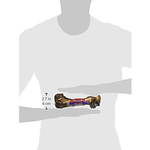 Scott Pet Pork Femur Wrapped For Pets