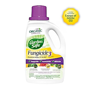 Garden Safe Brand Fungicide Concentrate, 20 Ounces, With Neem Oil Extract To Control Black Spot, Rust, Powdery Mildew, Aphids, Spider Mites, Whiteflies ,Houseplants, Fruits And Vegetables