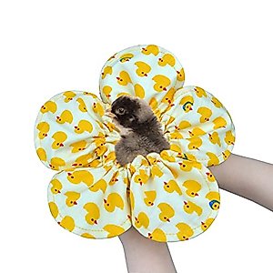 pranovo Chick Pouch Chick Holder Diaper for Chicken Hen Chick Protector Observation