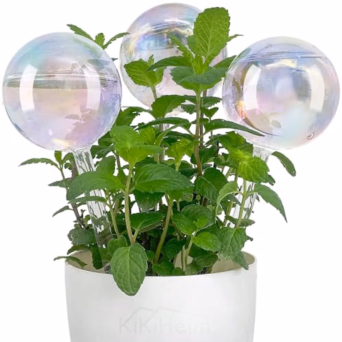 KiKiHeim 3Pcs Plant Watering Globes, Rainbow Self Watering Globes, Hand Blown Self Watering Planter Insert Spikes Plant Accessories, Glass Water Bulbs for Plants
