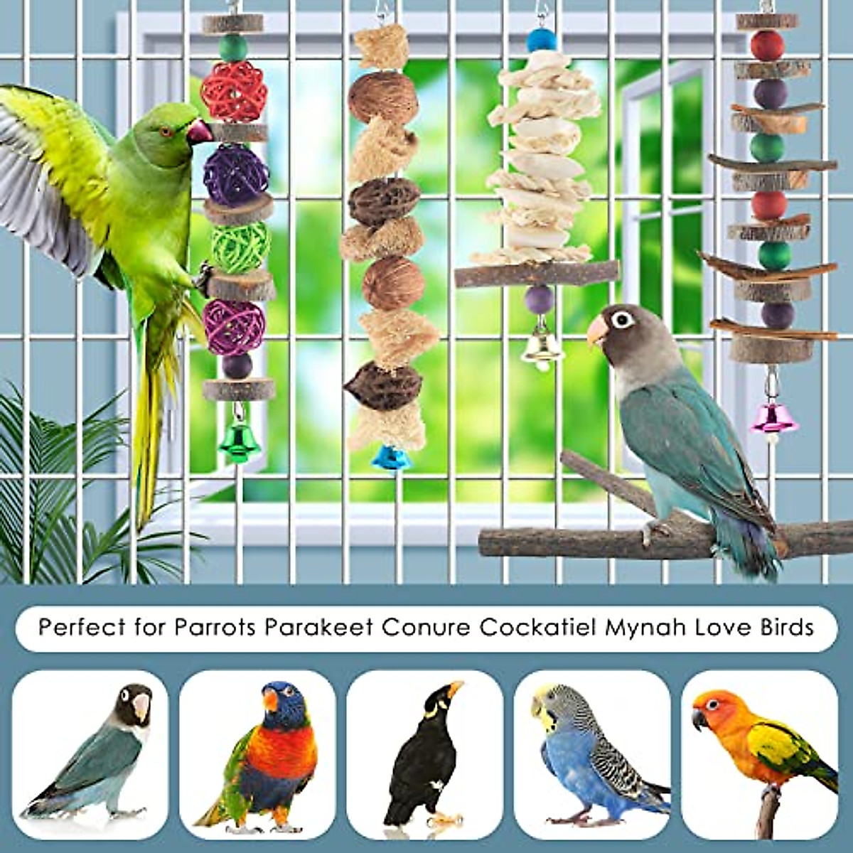 Bissap Bird Chew Toys, 5 Packs Parakeet Natural Wood Toys Parrot Hanging Cage Toy Bird Perch Stand for Small Bird Conure Cockatiel Parrotlet Lovebird Budgie