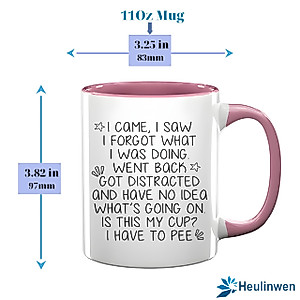 Funny Senior Citizen I Came I Saw I Forgot Mug 11oz - Sarcastic Gift For Old People, Mom, Grandma - Mothers Day, Birthday, Retirement, Christmas Gift For Elderly - Lightweight Coffee Mugs For Elderly