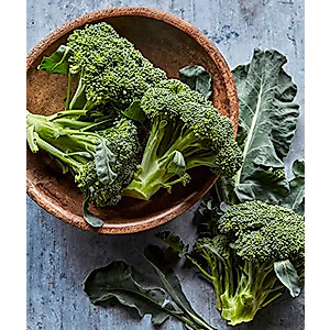 Burpee Sun King Broccoli Seeds 400 seeds