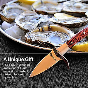 HiCoup Oyster Shucking Knife and Glove Kit - Clam and Oyster Knife Shucker Set with Stainless Steel Seafood Opener Tool, Wood Handle and Gloves﻿