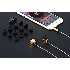 Betron B650 in Ear Headphones with Microphone - Bass Driven Sound, Aluminum Body Including S/M/L Earbud Tips, Carry Case (Gold)