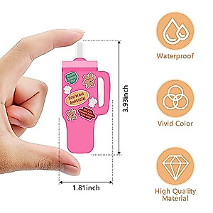 Stanley Tumbler Stickers for Water Bottles, 30 PCS Vinyl Waterproof Cute Stickers for Stanley Cup, Hydroflask, Laptop, Skateboard & Phone, Luggage Stickers for Teens Girls Kids