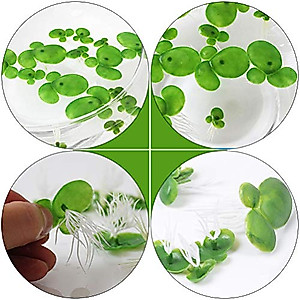 balacoo 36pcs Fish Tank Plant with Root Aquarium Floating Plants Artificial Aquarium Plants Fish Tank Plant Decorations Water Plants Ornament for Fish Tank Landscape Decor