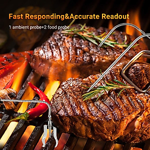 Inkbird Wifi Bluetooth BBQ Temperature Controller ISC-007BW, Automatic Smoker Fan Controller Grill Thermometer with 3 Probes for Big Green Egg, Kamado Joe, Weber, Primo, Vision Grill, Akorn Kamado
