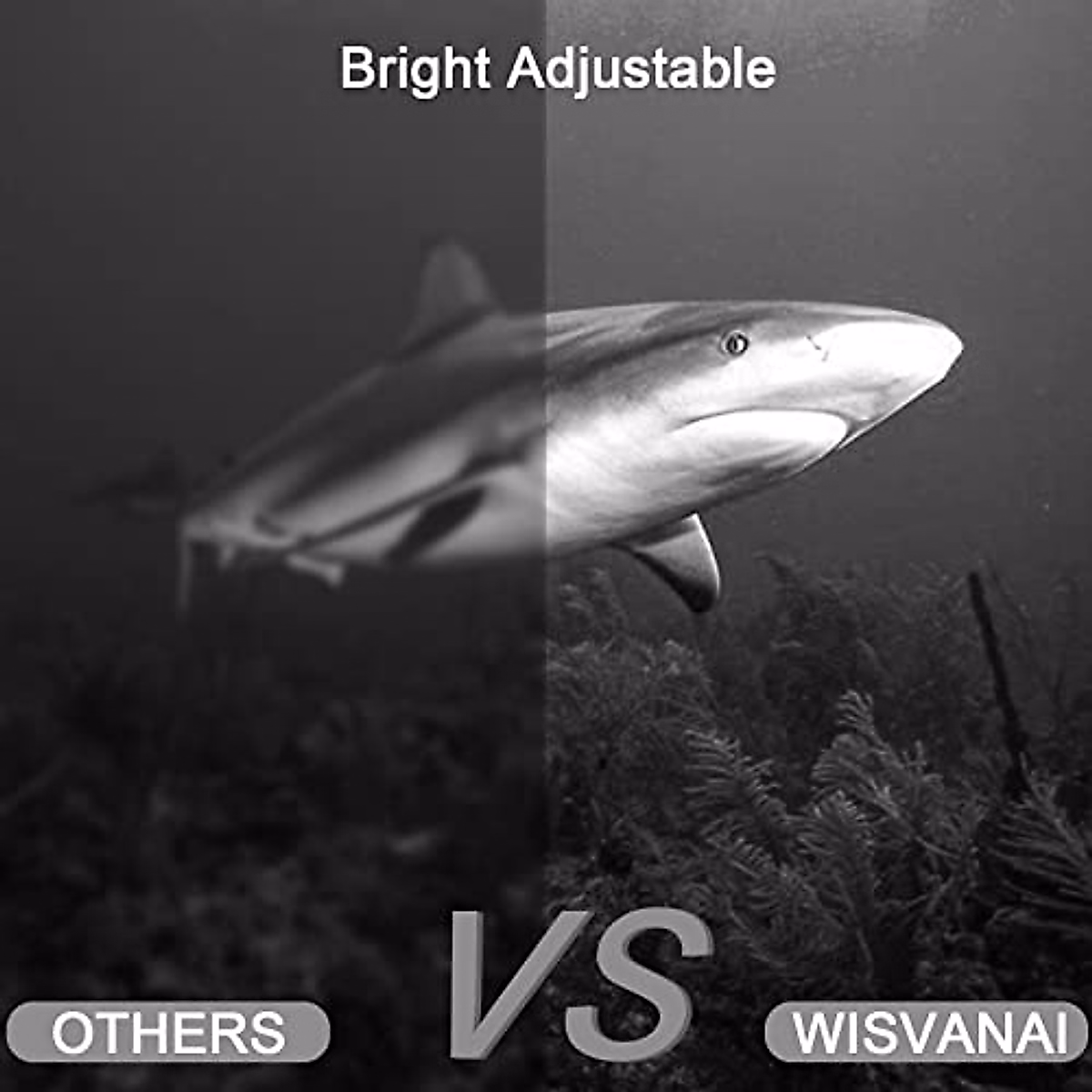 WISVANAI 3D Hologram Fan Projector, 39.4in High-Resolution Holographic Video Projector, Advertising Display Fan with WiFi, 1024 LED Beads & Bluetooth Speaker Supported