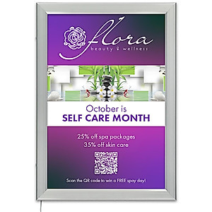 Displays2go 24" x 36" LED Light Box, Indoor/Outdoor, Acrylic Lens, Energy Efficient, Silver (LEDOD2436)