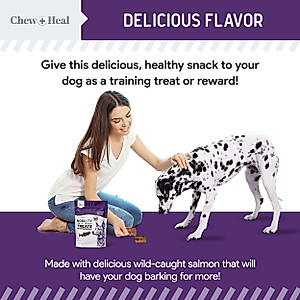 Chew + Heal Labs Dog Salmon Jerky Treats for Hip and Joint - 12 oz of Mobility Soft Dog Jerky Treats - Made with Alaskan Salmon, Turmeric, Glucosamine, Chondroitin, Green Lipped Mussel, and More