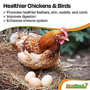 SeaBuck 7 Chicken & Bird Supplement with Sea Buckthorn to Improve Egg Quality (1-Month Supply for 20 Chickens) – Earlier Laying, Egg Production Booster & Higher Quality Eggs