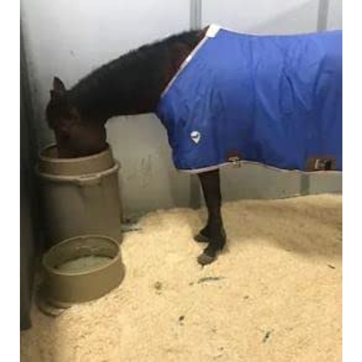 Porta-Grazer XL Traveler w/Water Trough, Slow Hay Horse Feeder