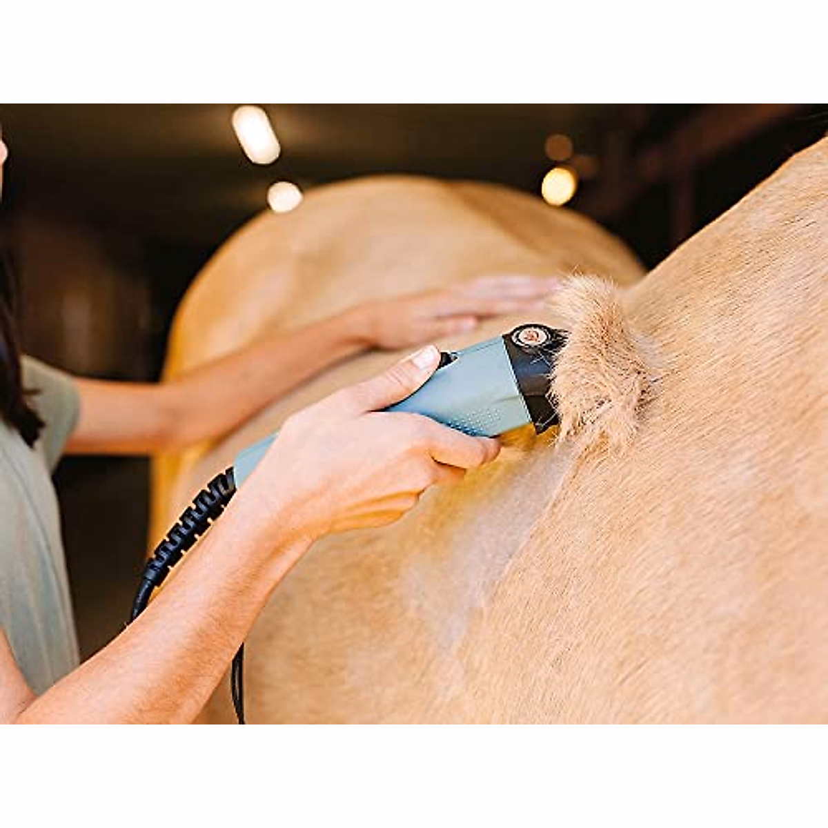 Lister Star Large Animal Clipper with Fine Blade for Horses, Cattle, Sheep, and Livestock (#258-34501), Green