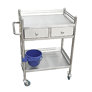 ENKEZI Medical Cart, Medical Trolley 2 Tier Heavy Duty Medical Utility Cart, Trolley Stainless Steel Serving Lab Equipment Beverage Cart, for Hospital Dental Clinic Home (Size : 80x48cm(31.5x18.9in)
