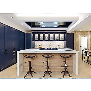 Diwhy Rustic Industrial Farmhouse Tractor Seat Counter Height Adjustable Bar Stool Cast Iron Swivel Stool Industrial bar Chair (Rust, Cast Iron)