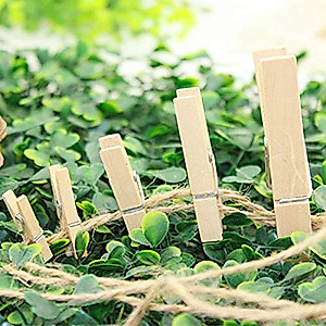 Mini Natural Wooden Clothes Pins, Sturdy Small Wood Clothespin, Photo Paper Peg Pin, Craft Clips for Home School Arts Crafts Decoration, DIY Screen 25mm - 100 Pack