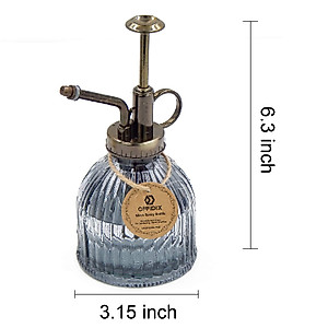 OFFIDIX Plant Mister Plant Water Spray Bottle, 6.3" Tall Vintage Style with Bronze Plastic Top Pump One Hand Glass Watering Can for Indoor Potted Plants Terrariums (Dark Gray)