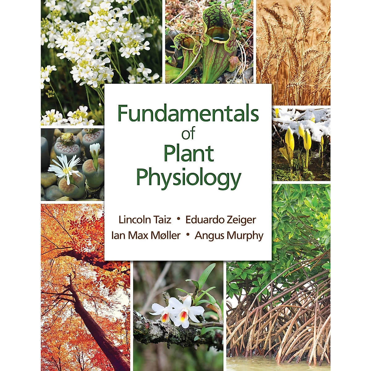 Fundamentals of Plant Physiology
