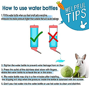 LLSPET 3-in-1 Guinea Pig Hay Feeder Water Bottle Nail Scissors Set, Pets Feeding Kit for Small Animals Bunny Chinchilla Guinea Pig Rabbit, 250ml Rabbit Water Bottle No Drip, Double Use Rabbit Feeder