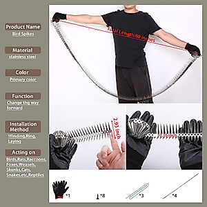 AMZDOTD Bird Spikes for Outside to Keep Birds Away, Pigeon Squirrel Raccoon Bird Spikes Deterrent, Bird Prevention Spikes with Stainless Steel - 80 Inches Medium Size