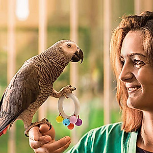 DOHAOOE Large Bird Toys for Foot Parrot Handheld Interactive Toys, 4 Pack