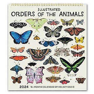 High Note 2024 Monthly Wall Calendar Planner, 16-Month Art Calendar: September 2023 - December 2024, 11" x 12" - Orders of The Animals