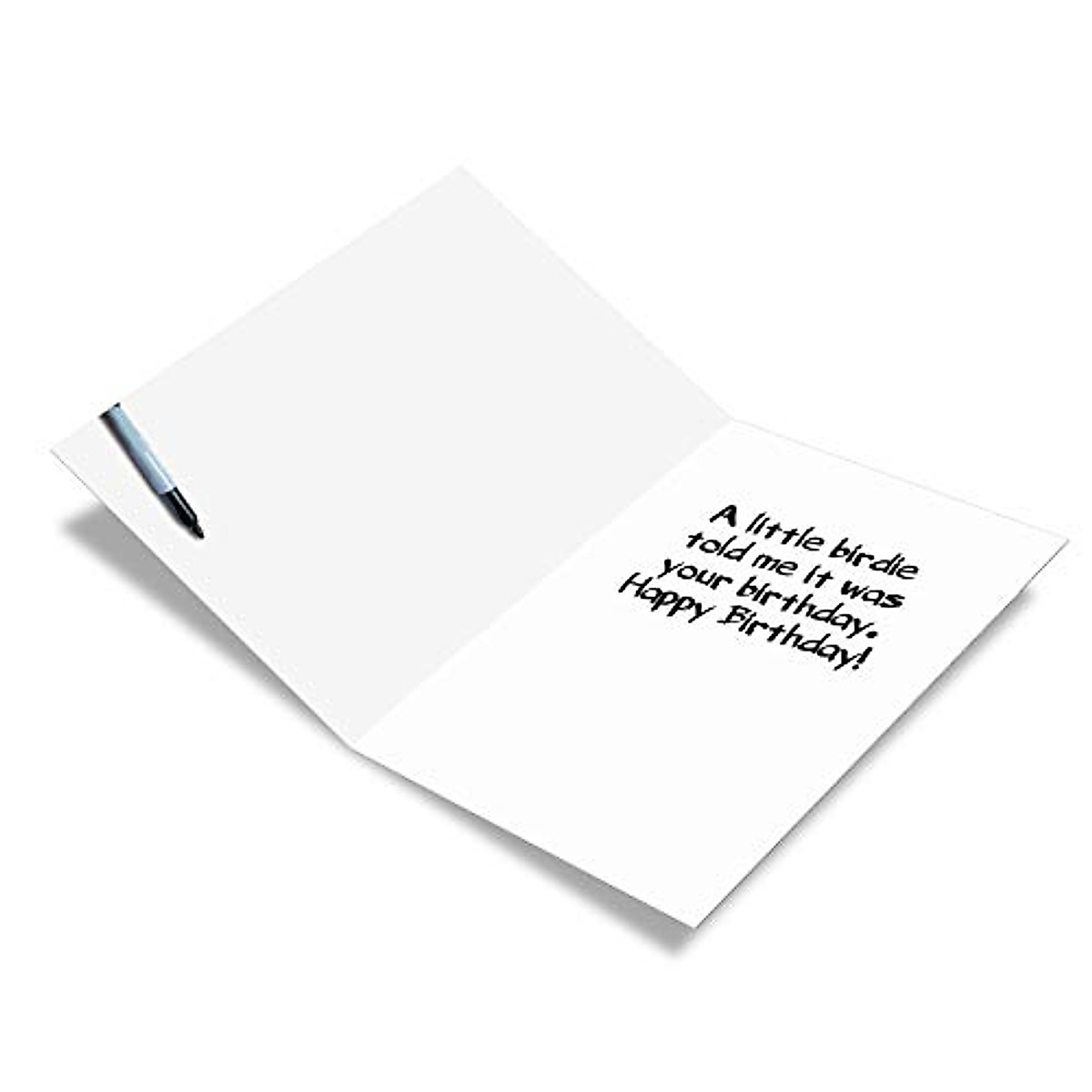 NobleWorks - 1 Happy Birthday Card with Funny Animals - Wildlife and Pet Humor, Fun Birthday Celebration Notecard - Empty Bird Feeder C2561BDG