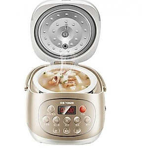 Tianji Ceramic Pot Digital Rice Cooker FD20D 2L, Baby Porridge, Soup maker