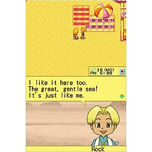 Harvest Moon DS Cute (Renewed)