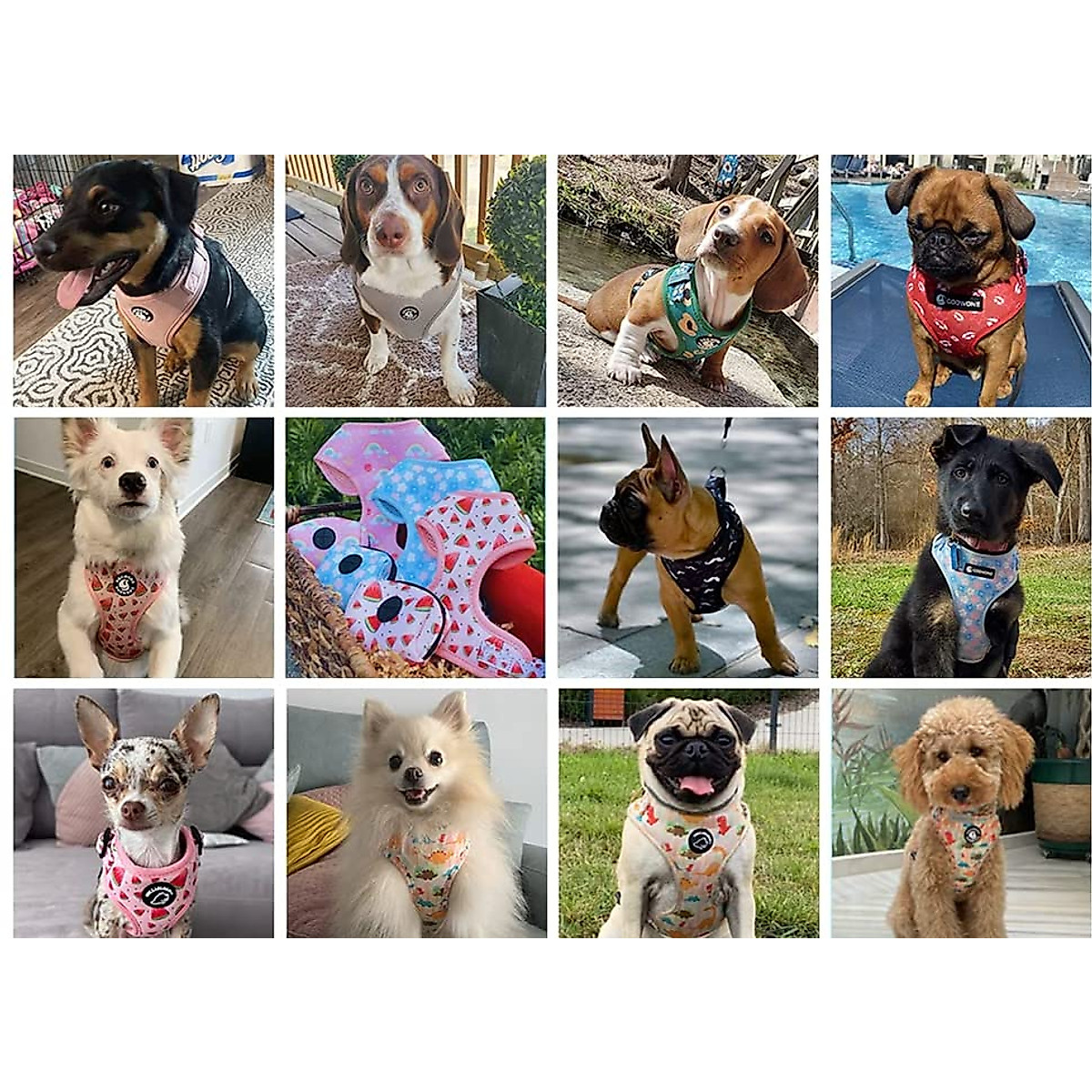 Dog Harness and Leash Set, Adjustable Dog Harness, Dog Leash, No Pull No Choke Puppy Harnesses for Walking Training for Small, Medium, Large Pet