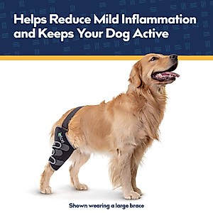 Balto Sport Agile CCL Brace – Knee Support for Dogs – Soft, Breathable Compression Wrap Helps Reduce Joint Inflammation – Right Leg, Large