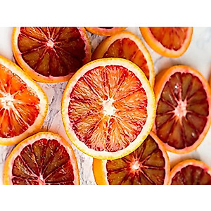 juicyodle Rare Dwarf Blood Orange Tree Plant Seeds for Planting - 30 Seeds (30, Blood Orange)