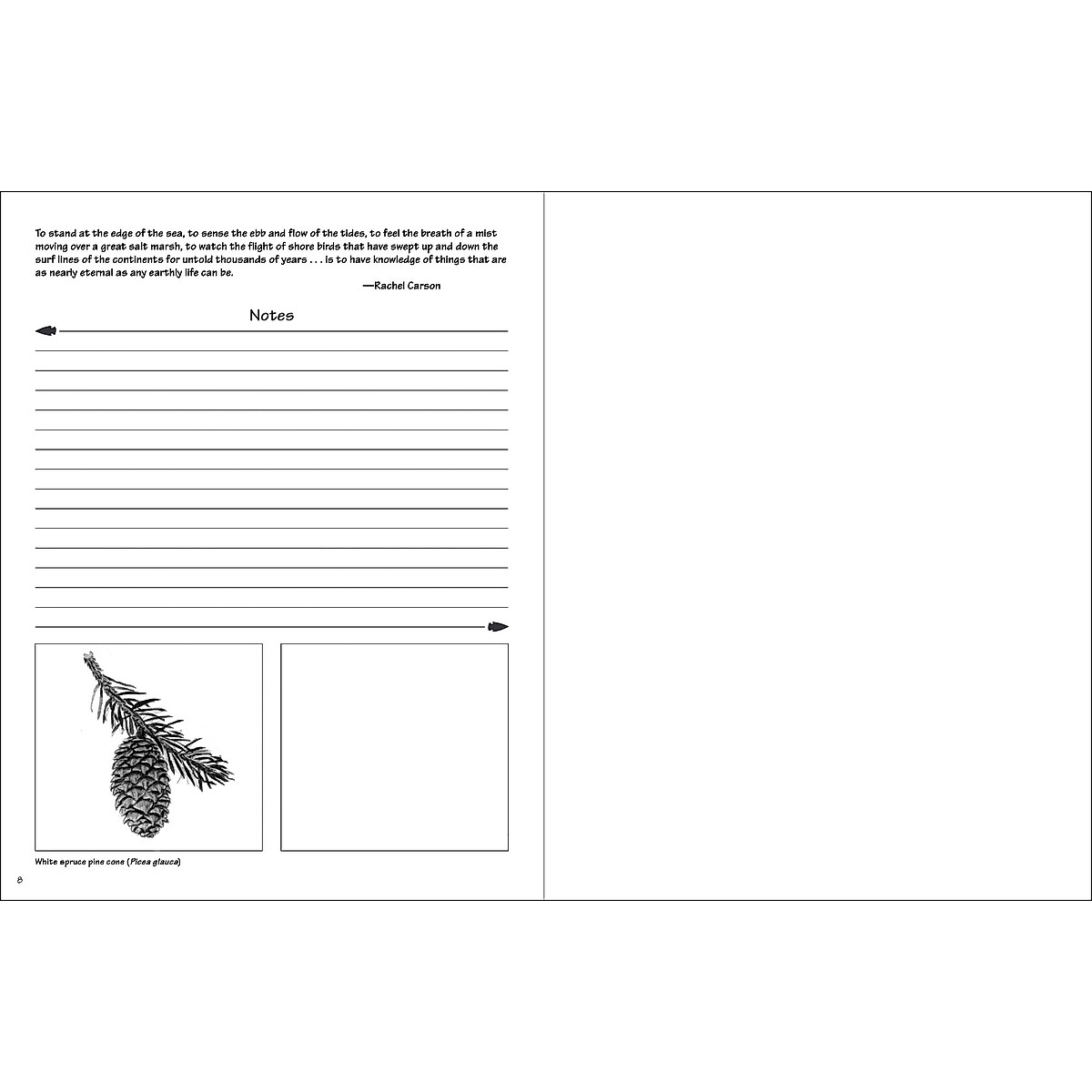 National Parks WPA Poster Art Coloring Sketchbook