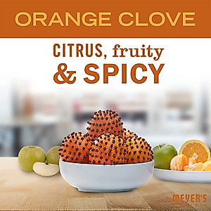 Mrs. Meyer’s 17430 Clean Day Orange Clove Liquid Dish Soap