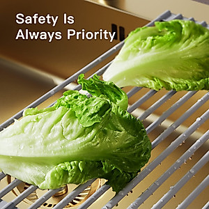 FURNINXS Roll Up Dish Drying Rack Over The Sink, Silicone Stainless Steel Foldable Dish Drying Rack for Kitchen Counter(17" x 13")