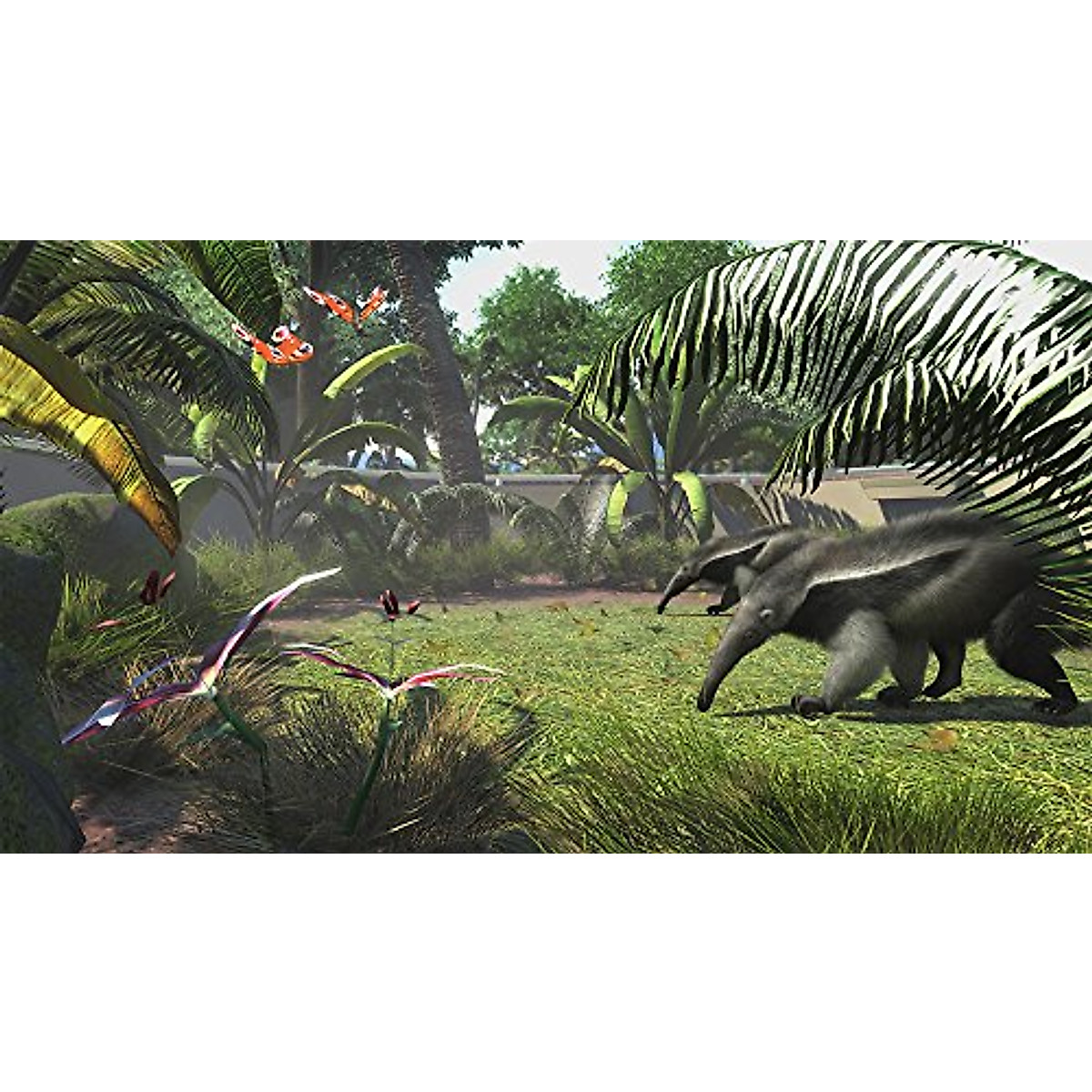 Zoo Tycoon Definitive Edition - XBONE