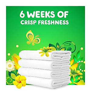 Gain 55867 Liquid Laundry Detergent, 100 Oz