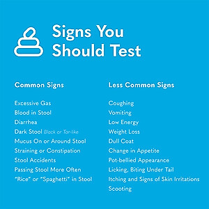 MySimplePetLab Dog Digestive Health Bundle I Mail-in Stool Test Kit for Worms/Giardia I Diarrhea Care Kit with Anti-Diarrheal Kaolin, Probiotics, & Fiber for Loose Stool & Upset Stomach