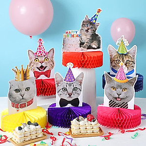 9 Pcs Cat Themed Honeycomb Centerpieces Cats Party Decorations Cat Happy Birthday Party Supplies Cat Party Cake for Kids Baby Shower Birthday Supplies