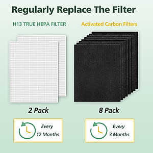 D360 Replacement Fil-ter D3 Compatible with Winix D360 Air Puri-fier, Replaces for Winix 1712-0101-02, 2 H13 True HEPA Fil-ters and 8 Activated Carbon pre-fil-ters